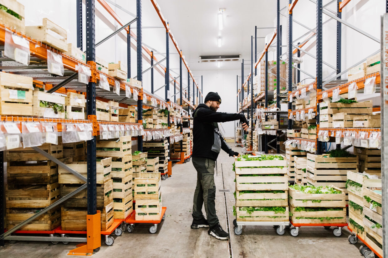 Circuits courts alimentaires : court-circuit logistique